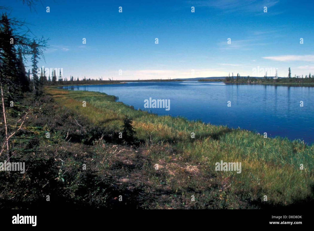 The Selawik River in spring, featuring a peaceful and scenic landscape ...