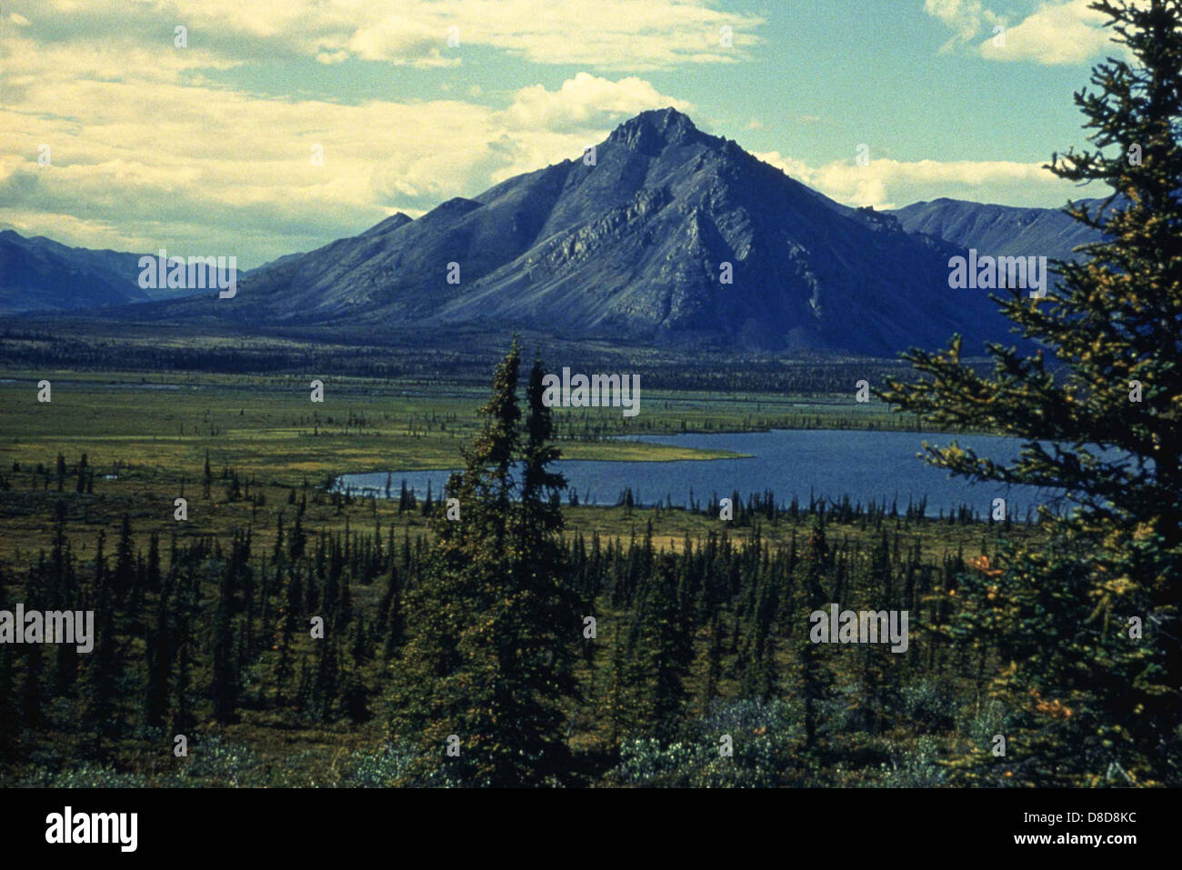 Sheenjek valley Arctic landscape in summer Stock Photo - Alamy
