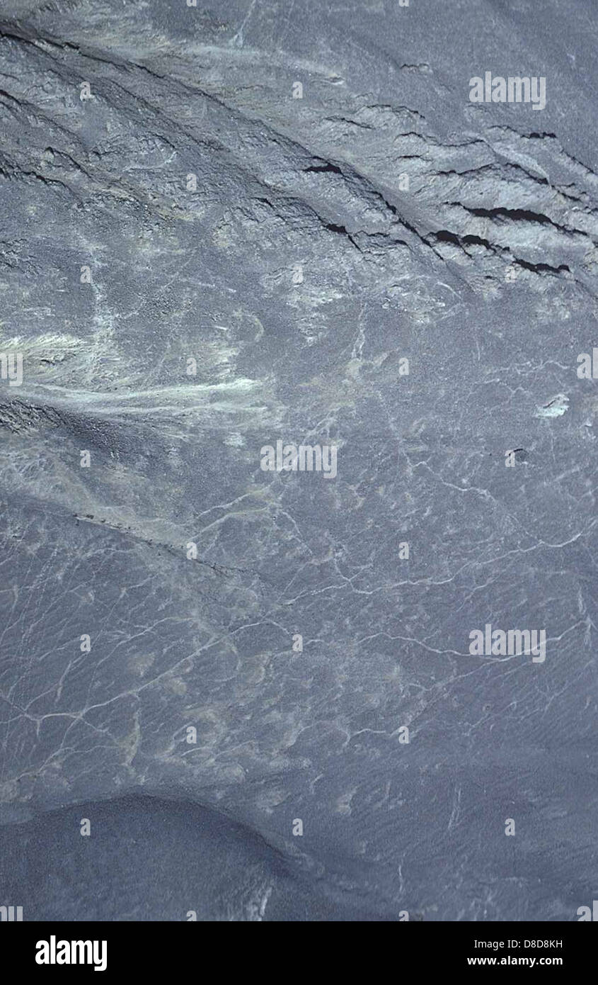 An aerial view of sheep trails running through a marshy area ...