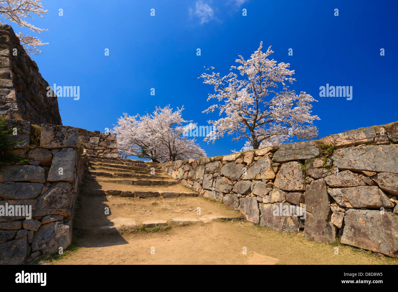 Takeda castle hi-res stock photography and images - Alamy
