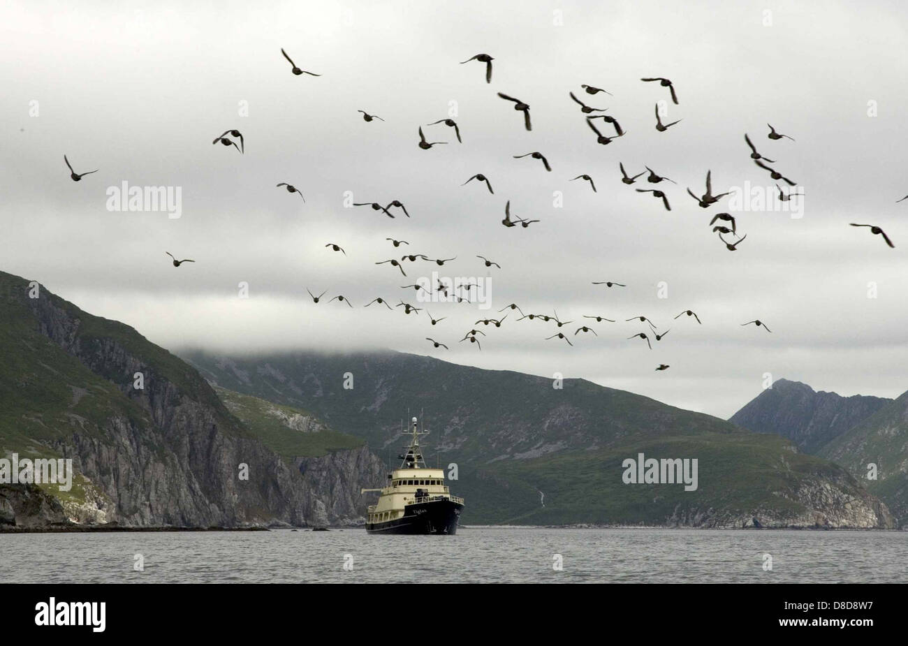 A photograph of a ship with a bird flying overhead. The image captures ...