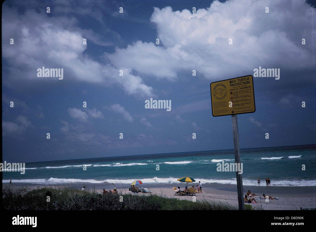 Hobe sound hi-res stock photography and images - Alamy