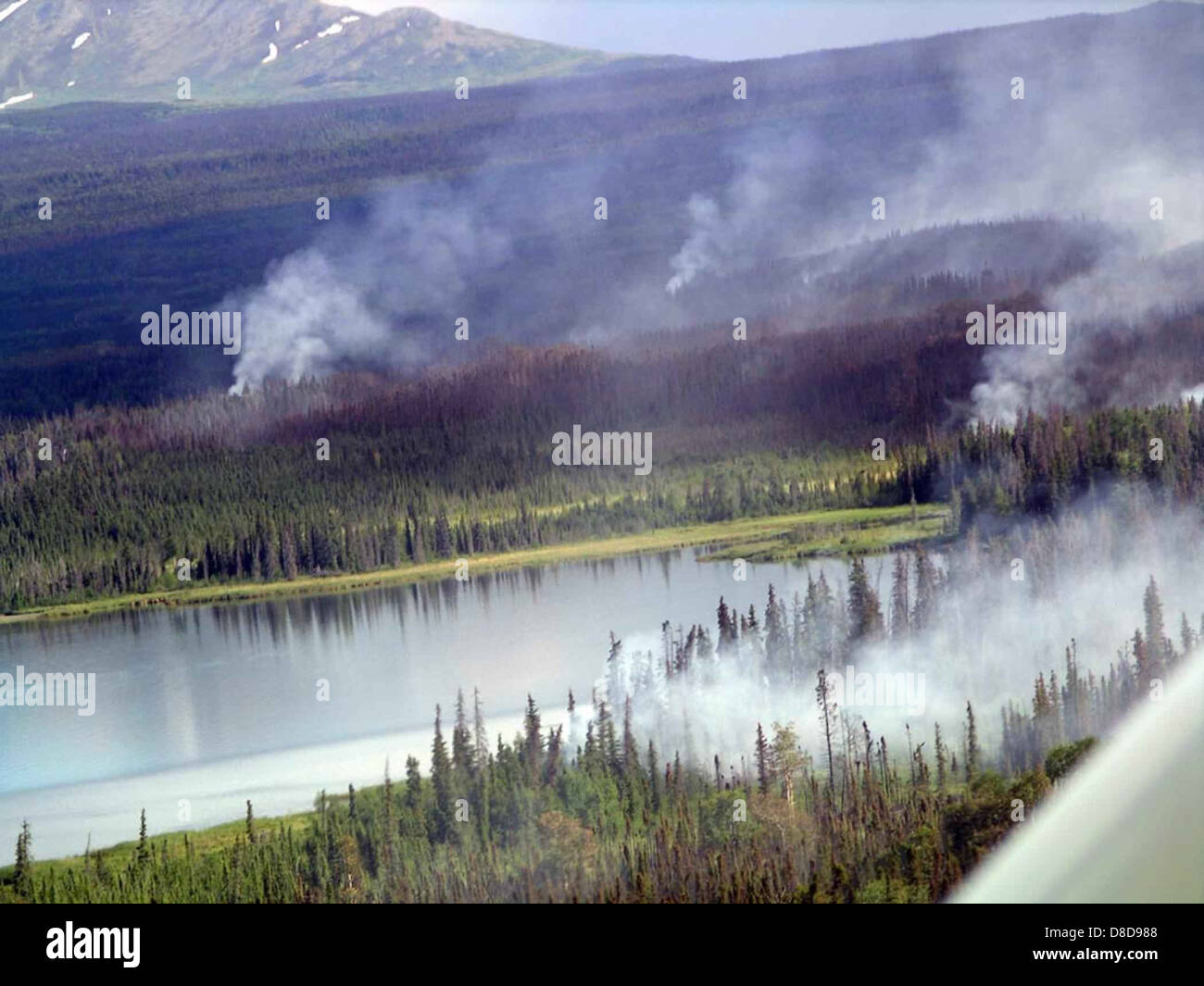 Skilak lake area fire burn Stock Photo - Alamy