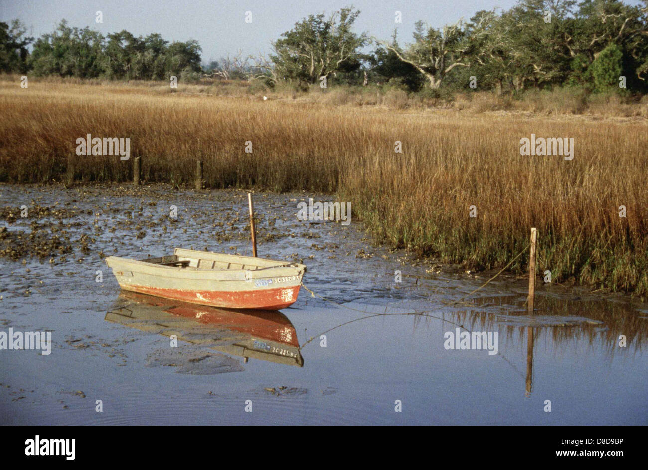 A small boat is stranded in a marsh during low tide, with oysters ...