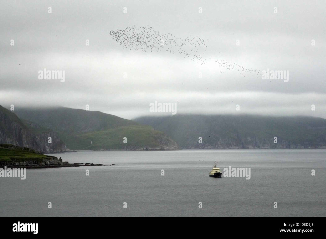 Small research vessel cruising hi-res stock photography and images - Alamy