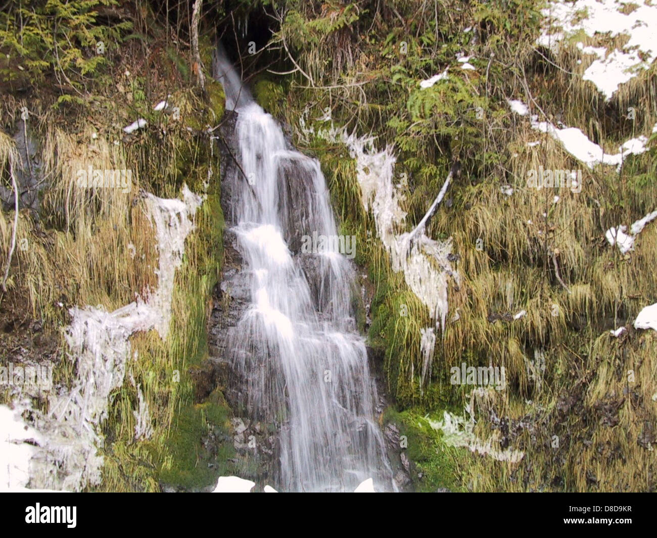 A small waterfall flowing through a snowy bank, with water cascading ...