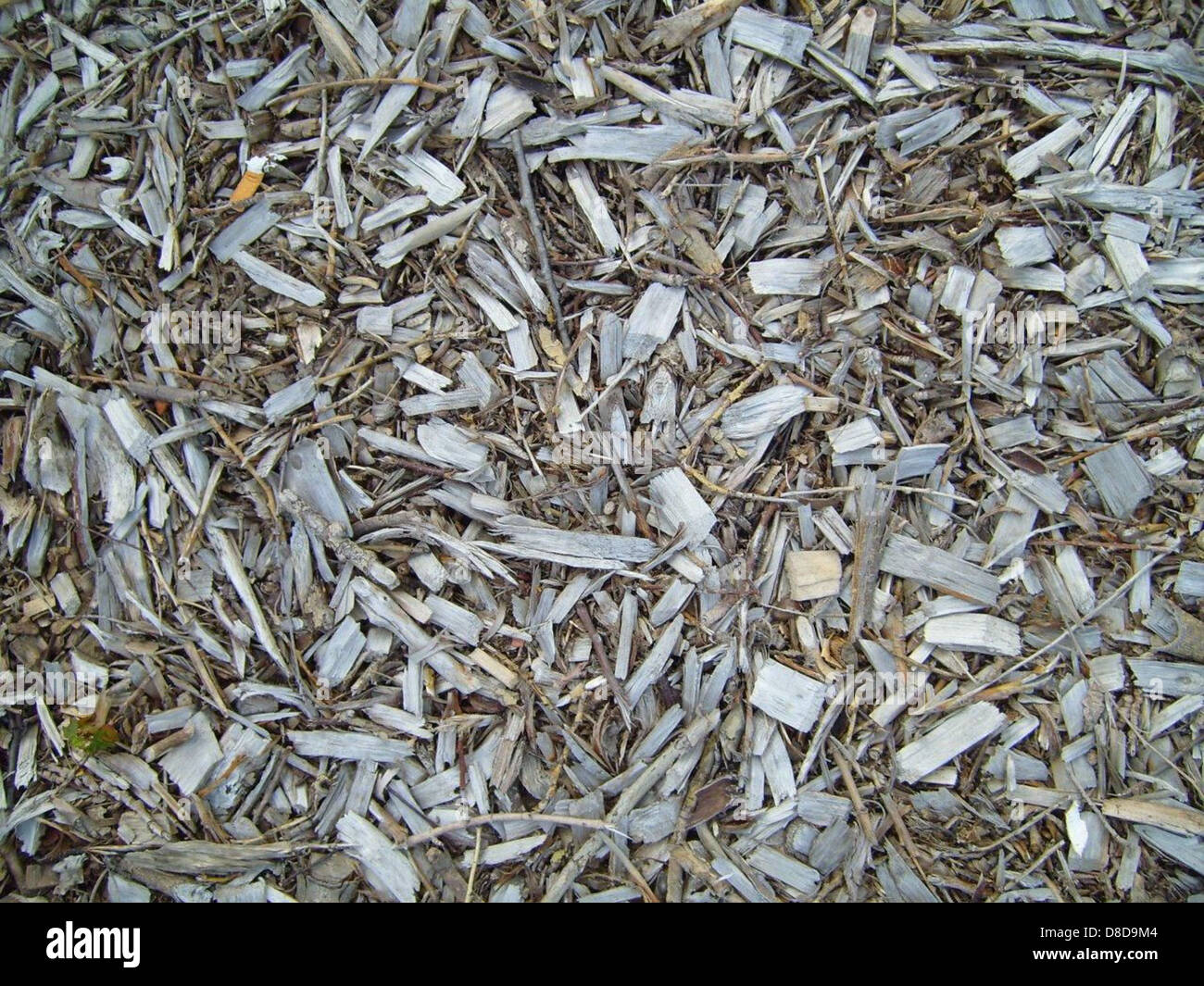This image features small wooden twigs, gathered together in a natural ...