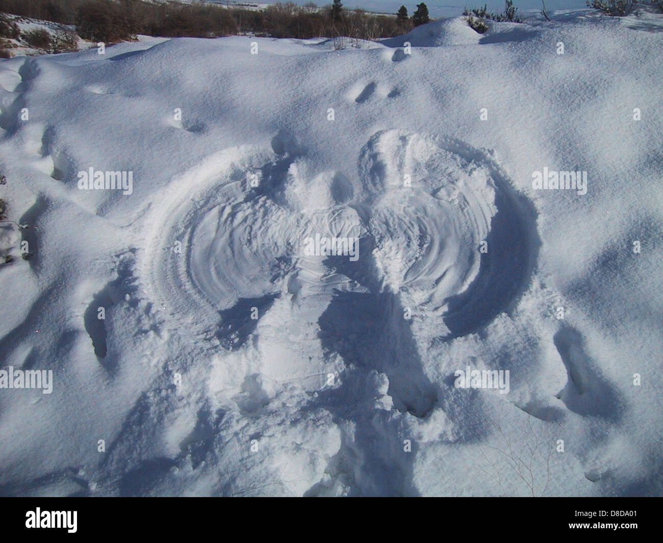 A snow angel created in freshly fallen snow, with the impression of a ...