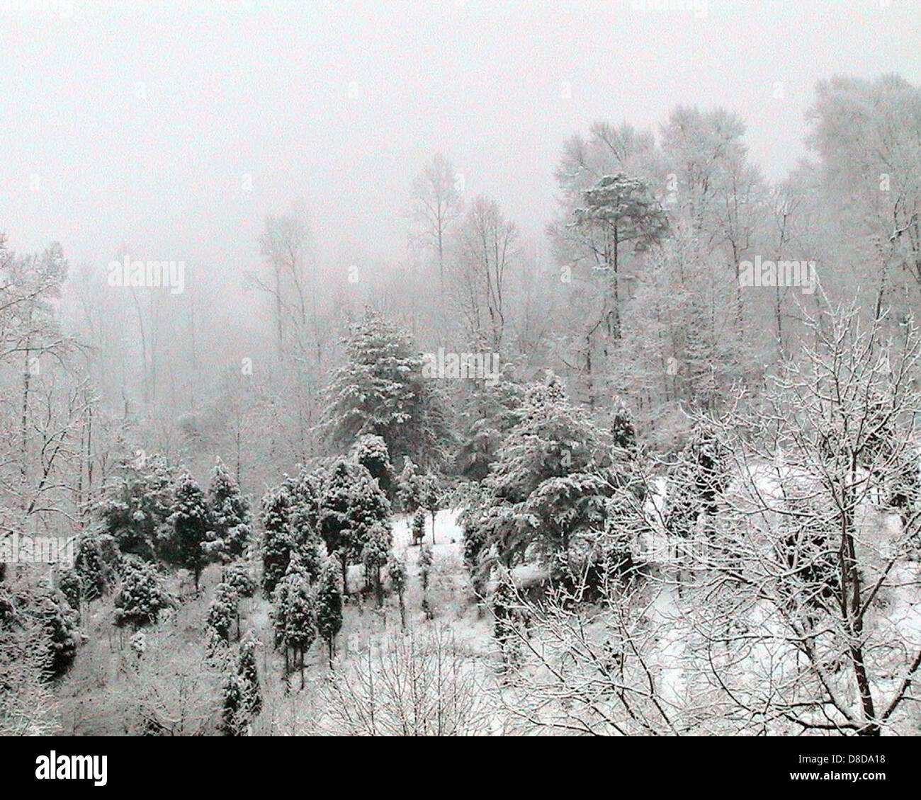 A snow-covered hillside blanketed in winter's white, with small ...