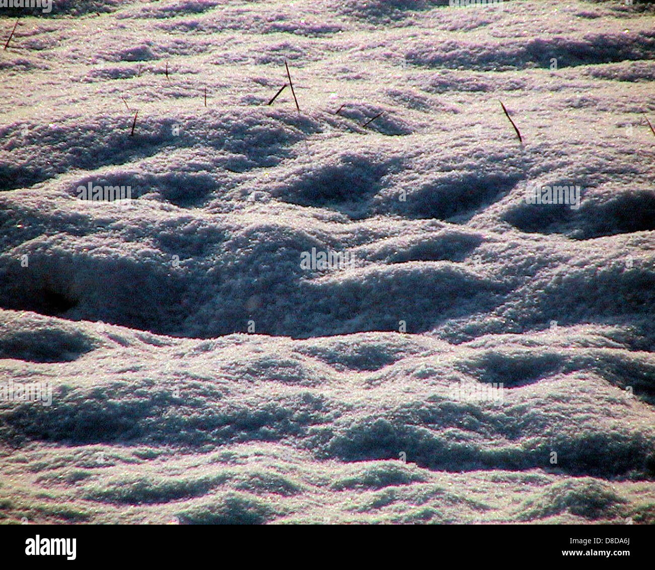 This image highlights the intricate patterns created by snowfall on the ...
