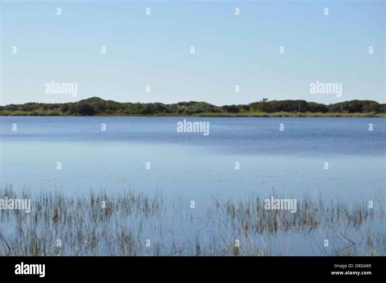 The image shows the view southward from the north shore of Campbell ...