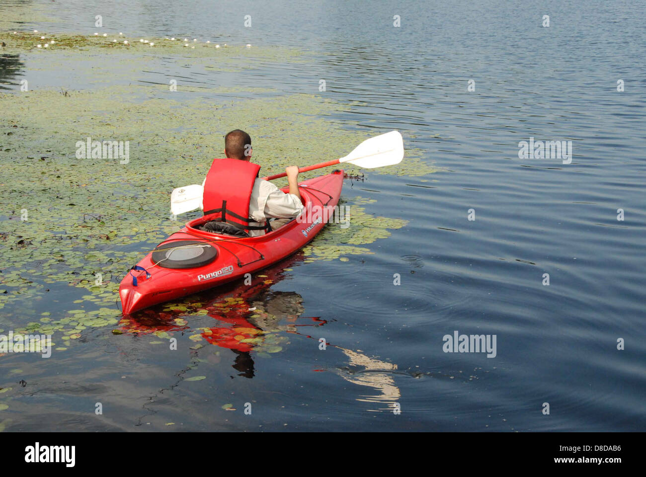 A person enjoying a relaxing canoe ride on a calm river, surrounded by ...