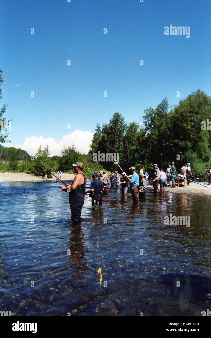 A person engaged in sport or combat fishing, actively reeling in a ...