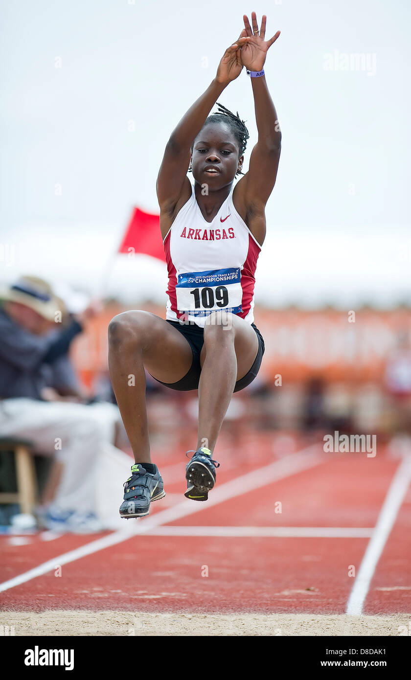 Tamara myers hi-res stock photography and images - Alamy