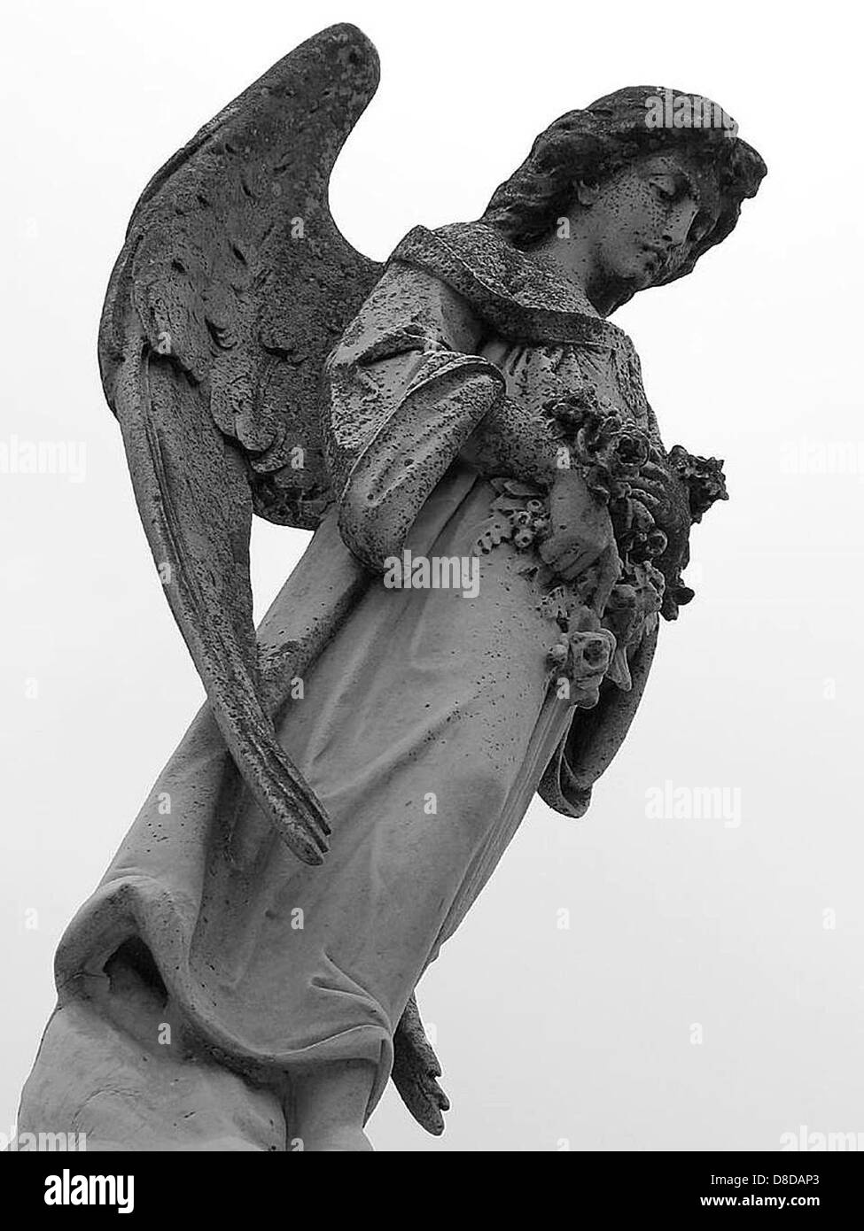 Statue of angels Stock Photo - Alamy