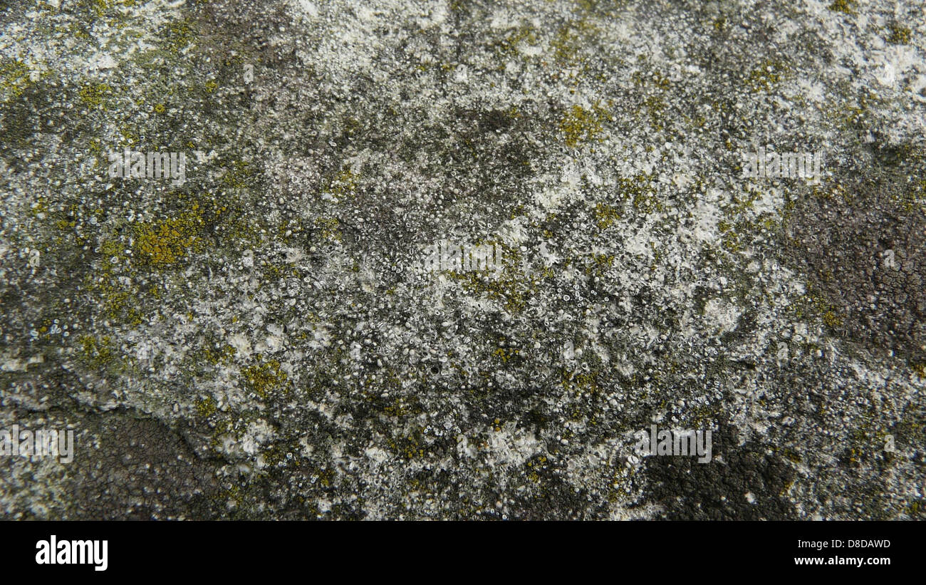 Stone high definition texture Stock Photo - Alamy