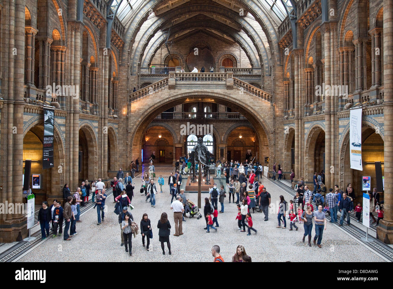 The Natural History Museum, London, England Stock Photo - Alamy