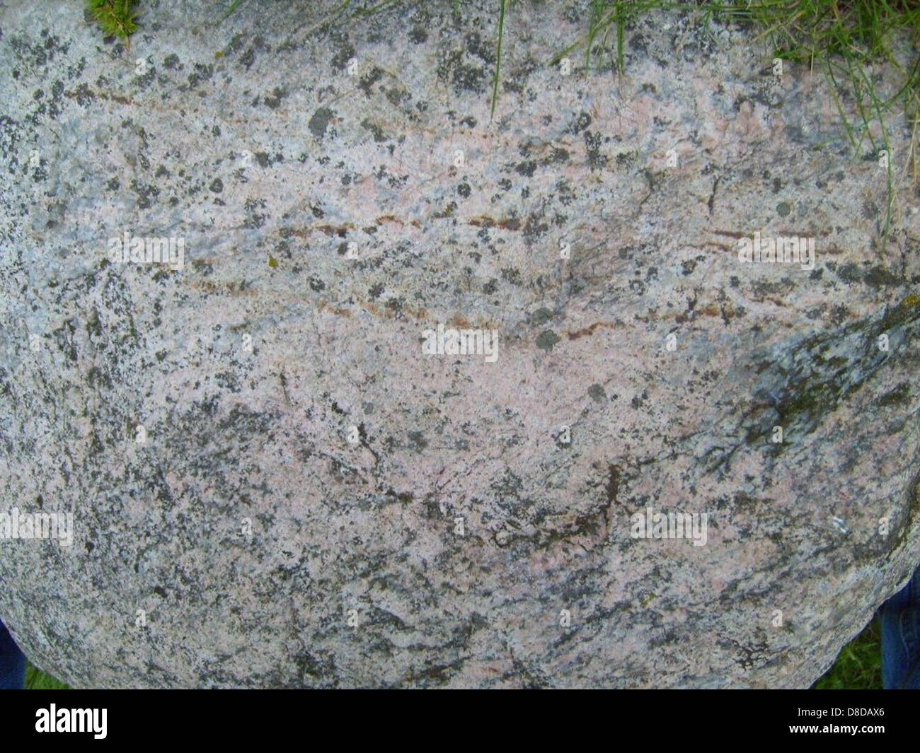 A close-up of a stone surface showing a natural pattern of textures and ...