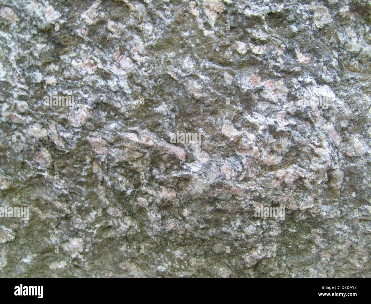 A close-up of a stone rock surface, showing intricate natural patterns ...