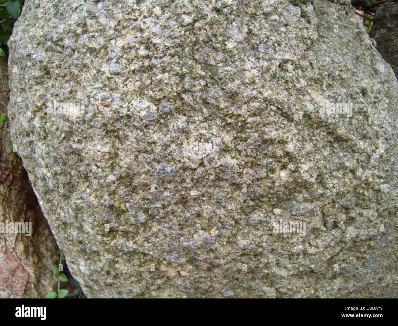 Stone rock texture closeup Stock Photo - Alamy