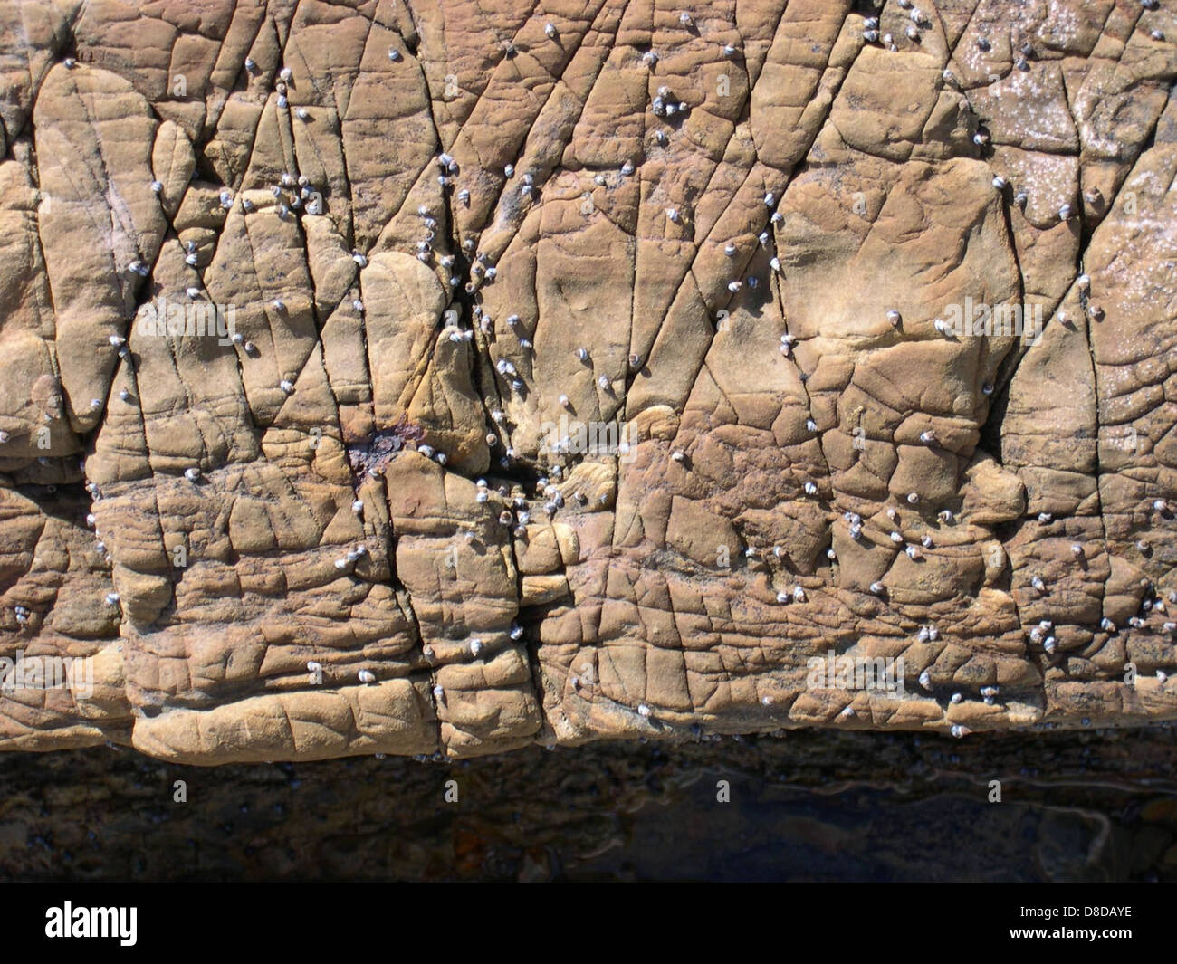 A collection of stone ruins made from marble rock, showing remnants of ...