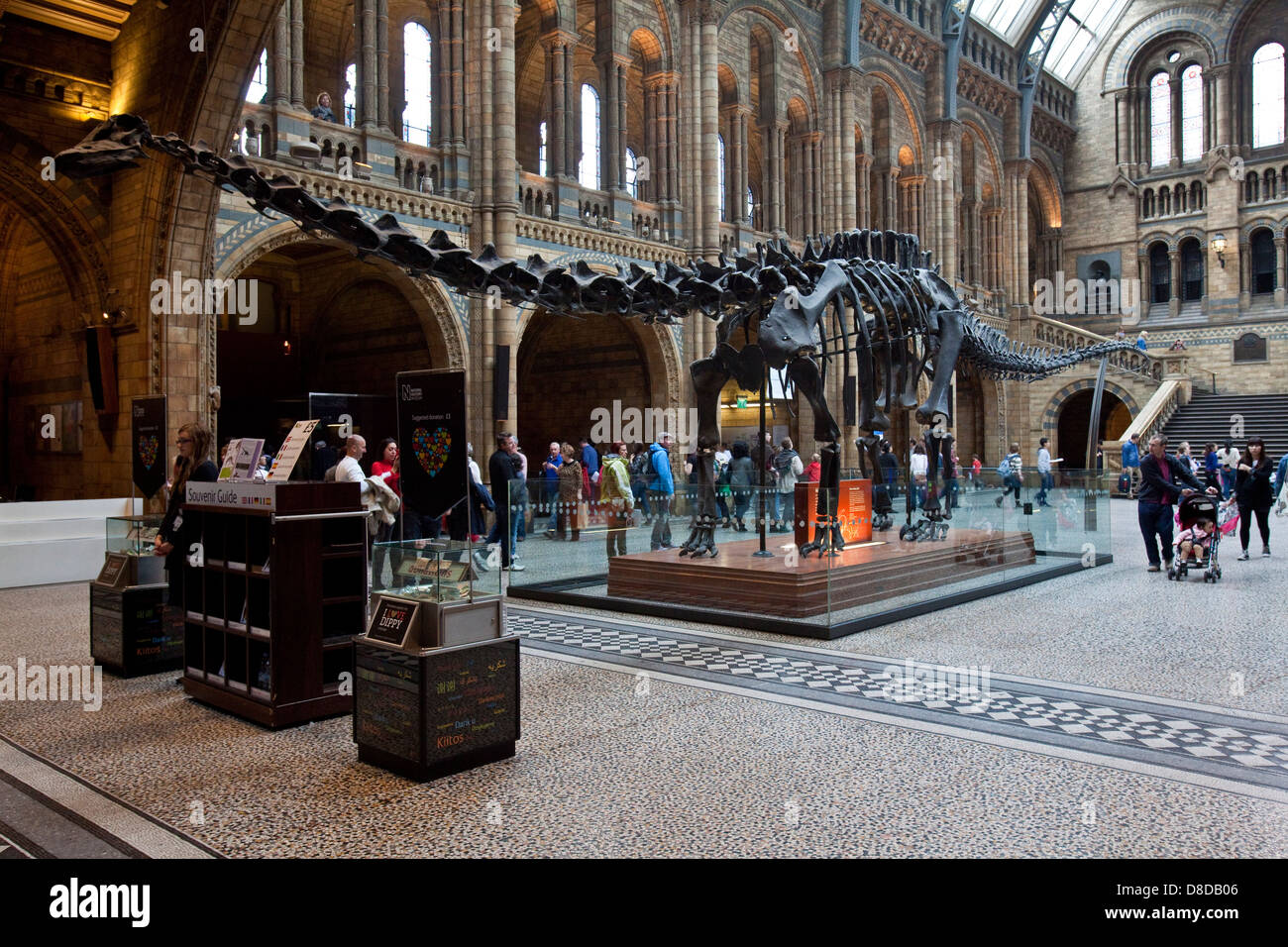 The Natural History Museum, London, England Stock Photo - Alamy