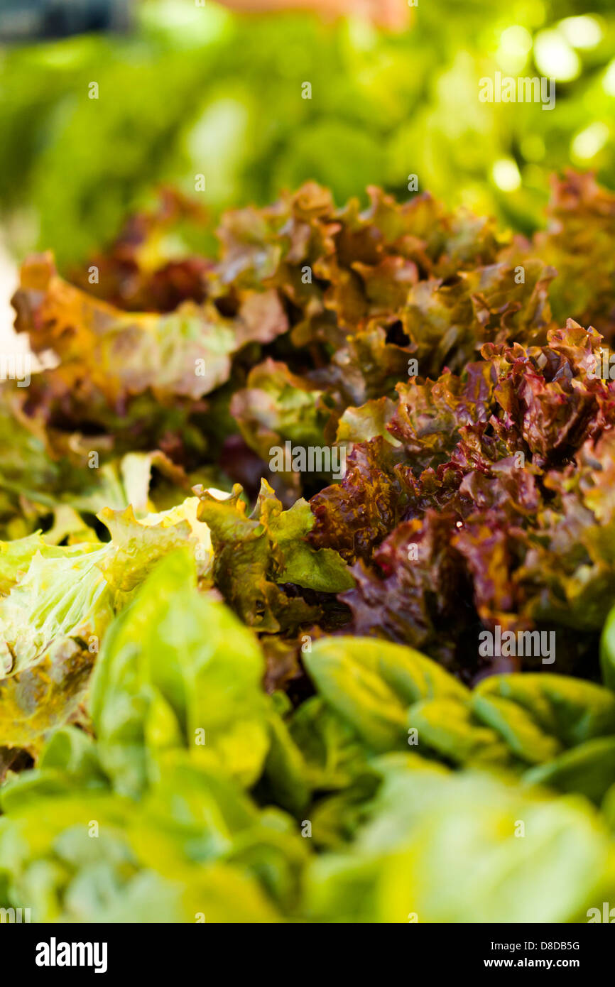 Fresh produce on sale at the local farmers market Stock Photo - Alamy