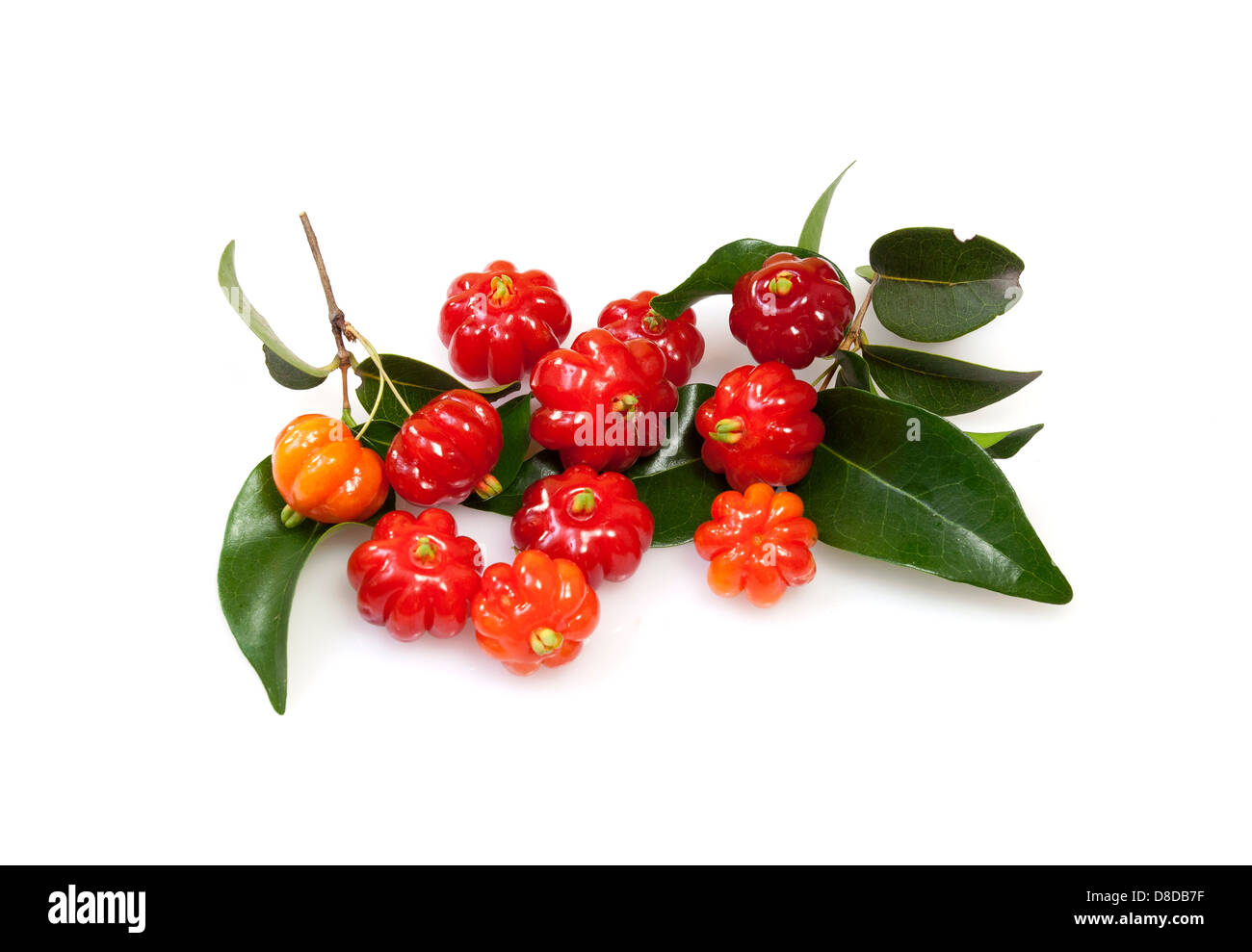 Pitanga hi-res stock photography and images - Alamy