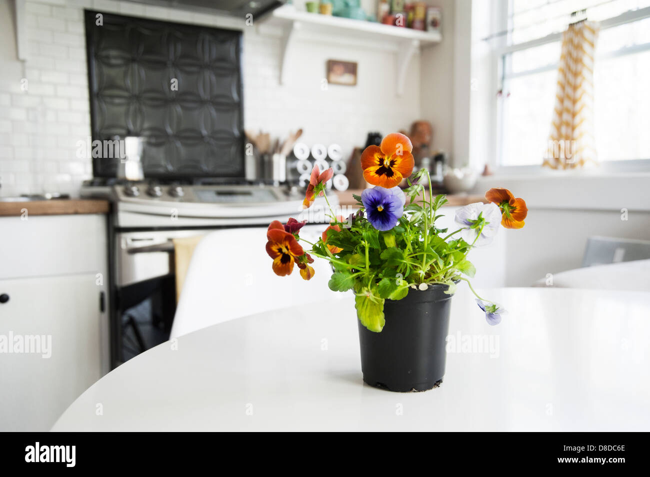 Cottage style home interior hi-res stock photography and images - Alamy
