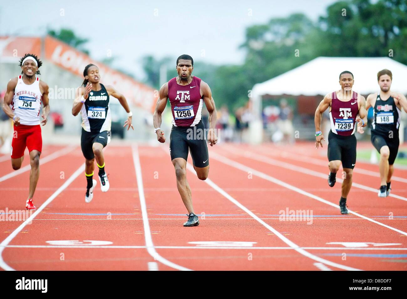 Ameer webb hi-res stock photography and images - Alamy