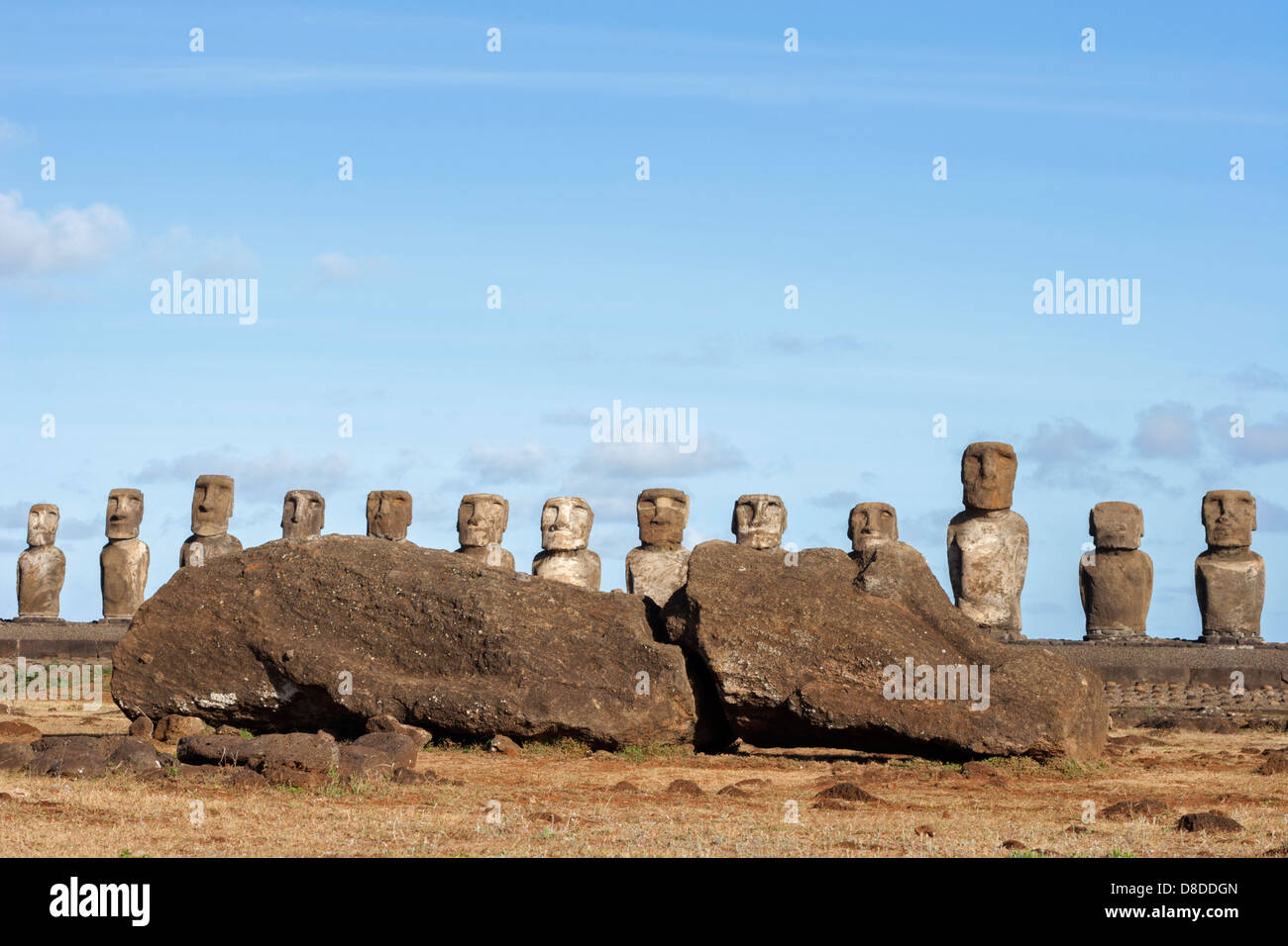 A fallen moai on the ground at Ahu Tongariki, Easter Island's largest ...