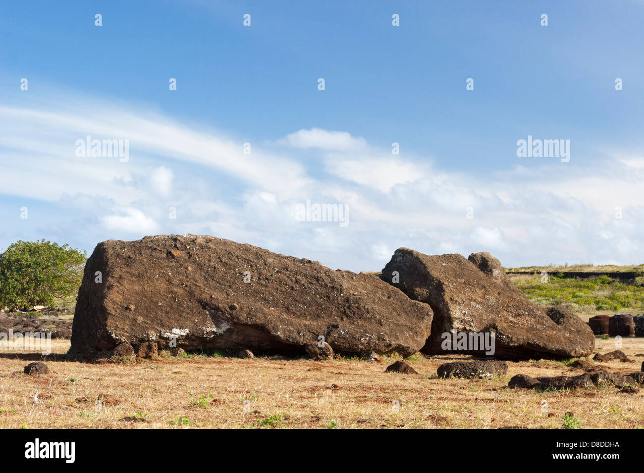 A fallen and broken moai at Ahu Tongariki Stock Photo - Alamy