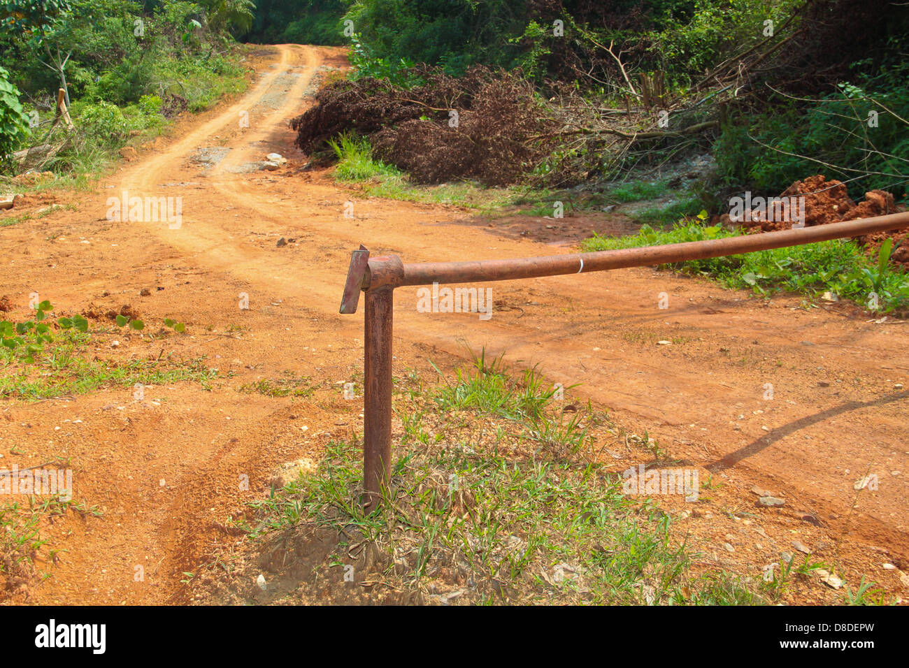 Blockage on the dirt track leading into jungle Stock Photo - Alamy
