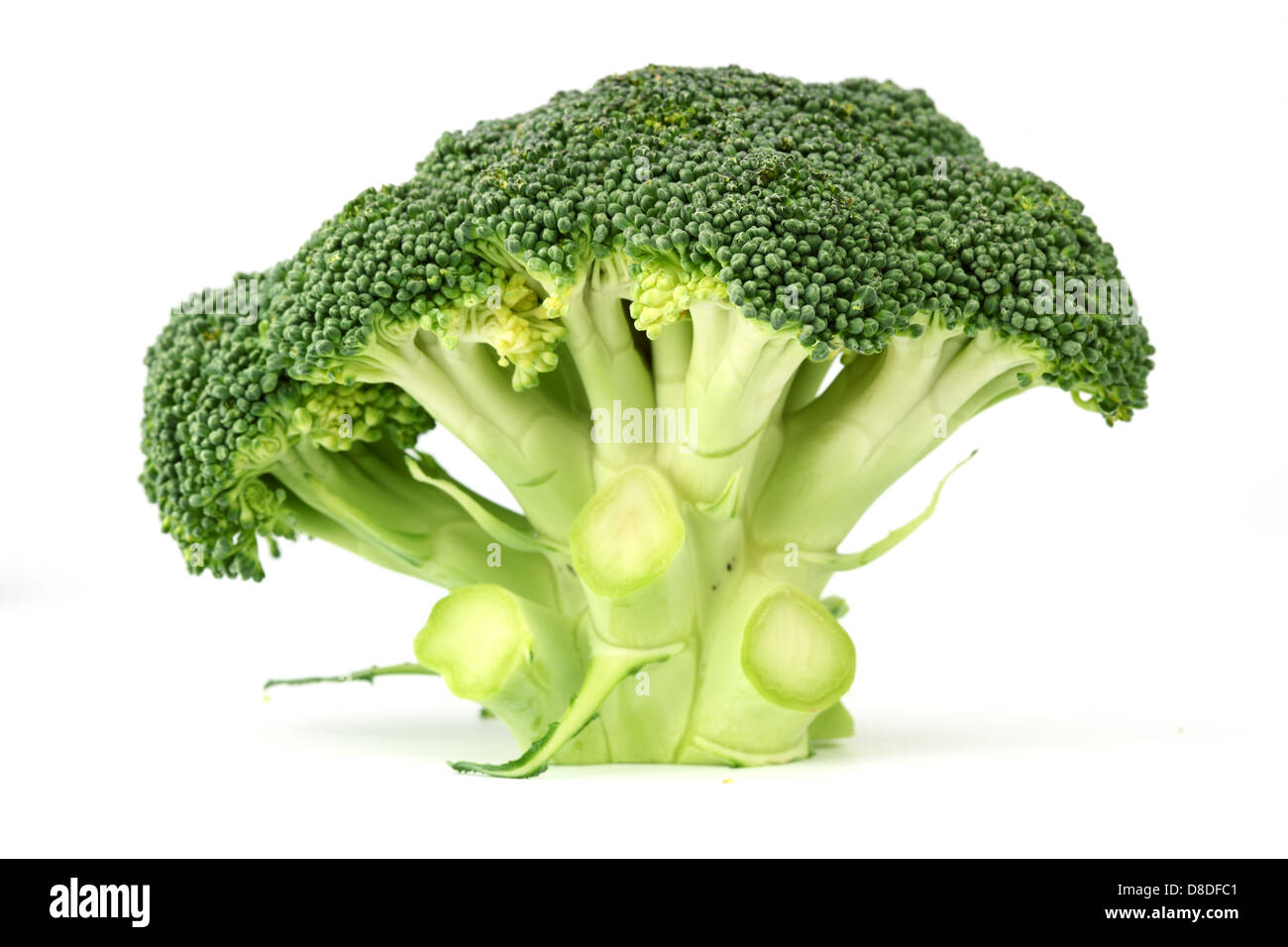 broccoli isolated on white background Stock Photo - Alamy
