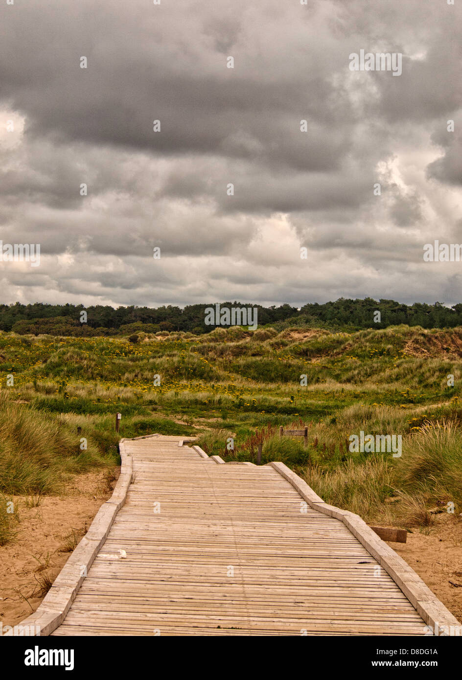 Formby merseyside hi-res stock photography and images - Alamy