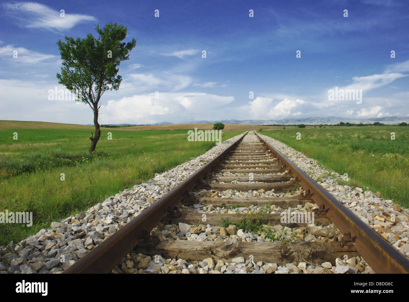 Railroad and tree on the field Stock Photo - Alamy