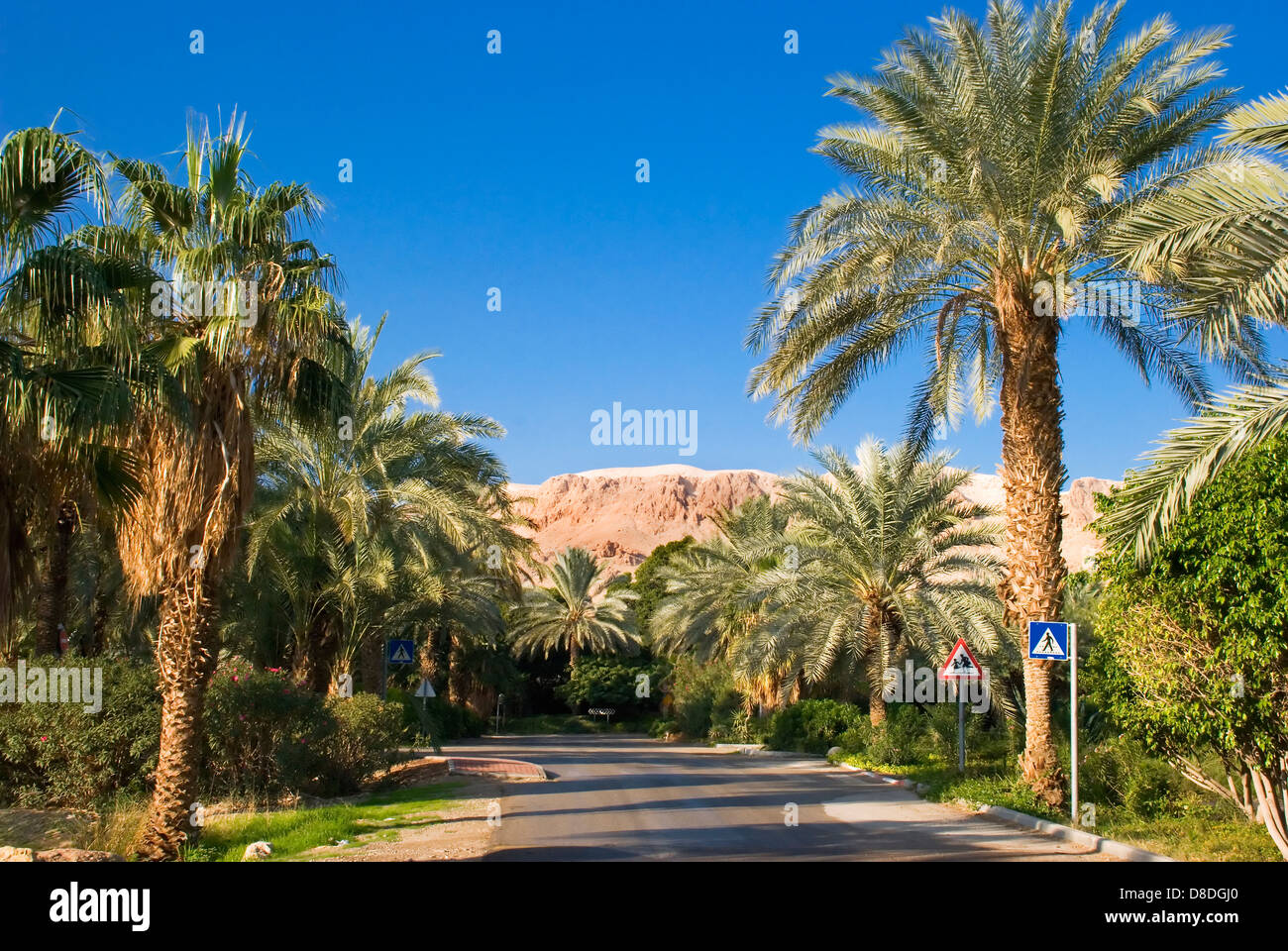 Desert alley hi-res stock photography and images - Alamy
