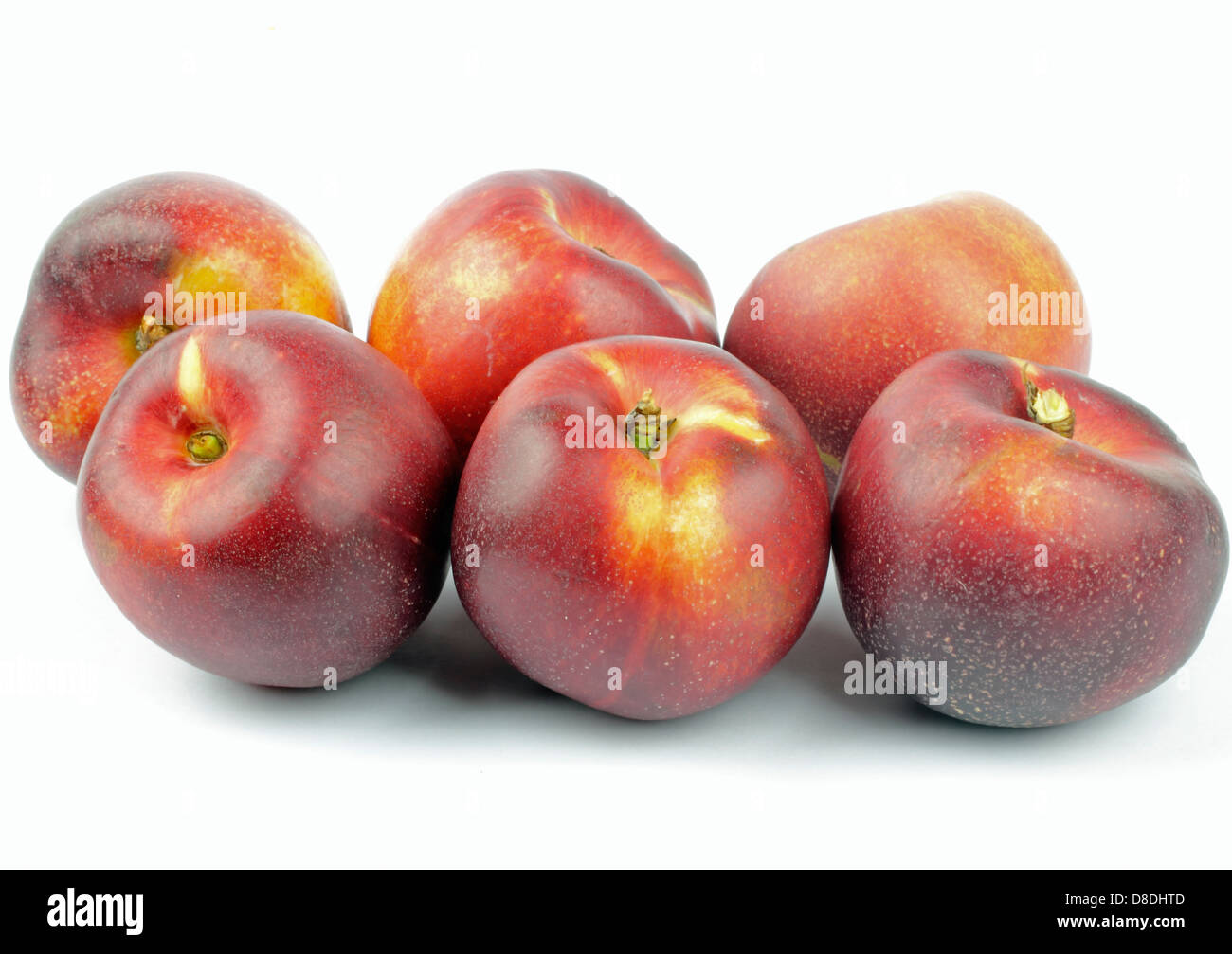 nectarien on the white background Stock Photo - Alamy