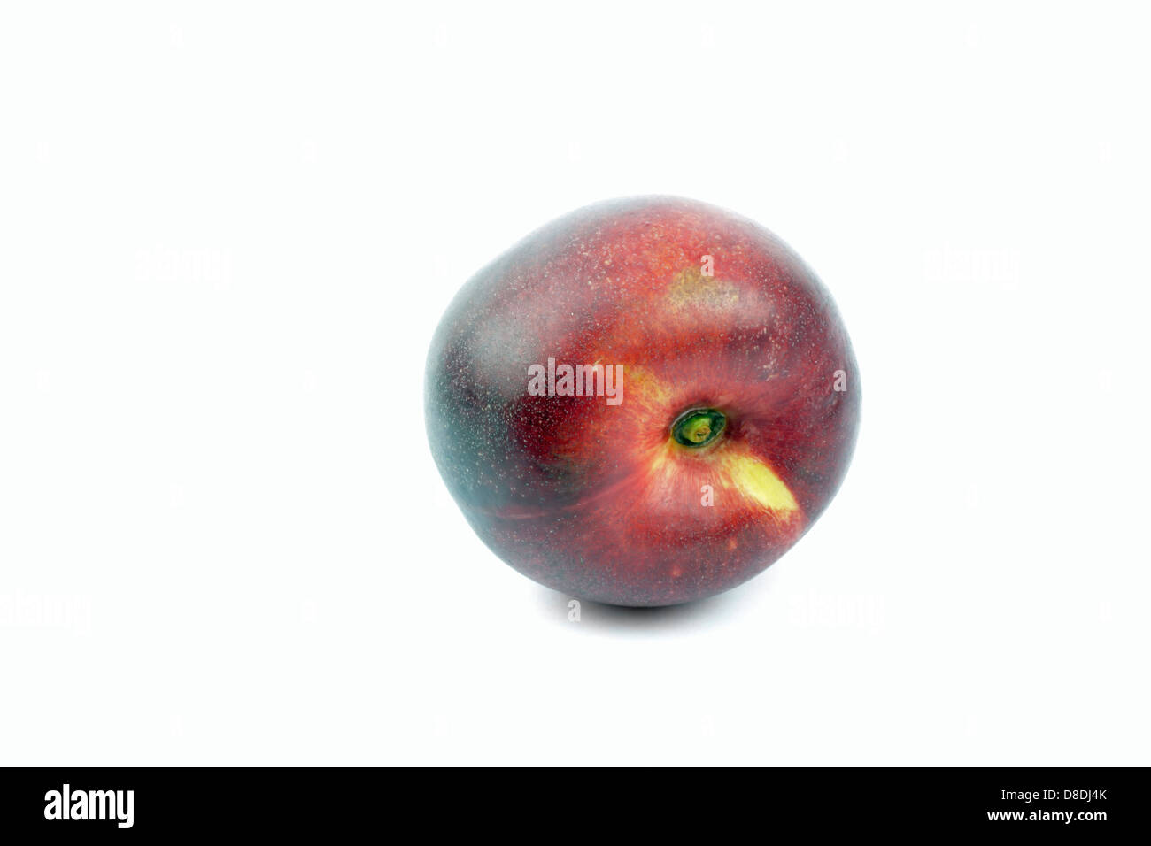 Nectarien hi-res stock photography and images - Alamy