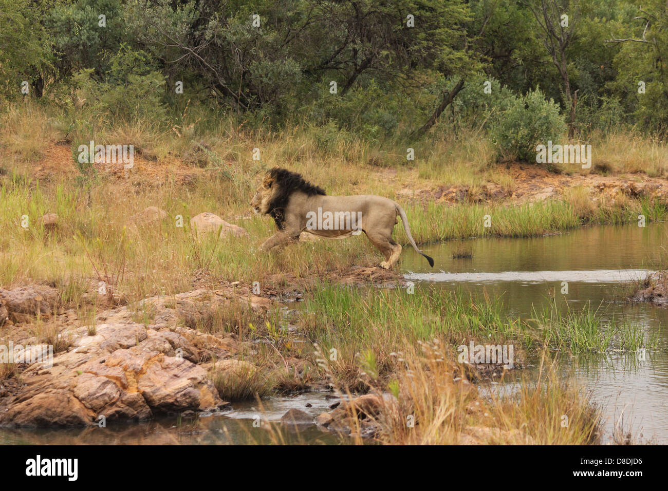 On Solid Ground Stock Photo - Alamy