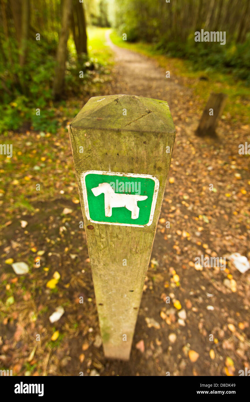 A dog walking path post in woodland Stock Photo - Alamy