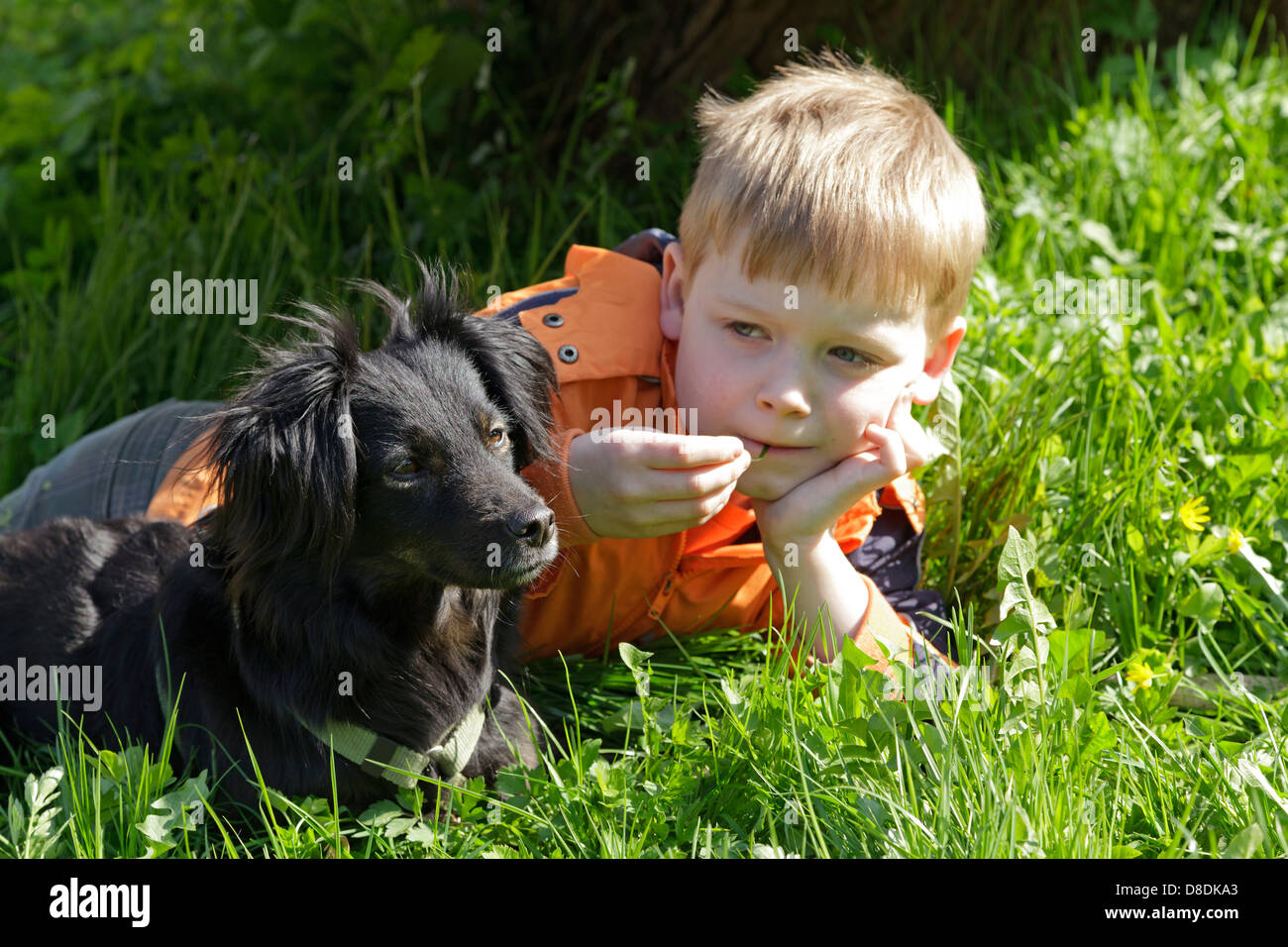 portrait of a young boy and his dog Stock Photo - Alamy