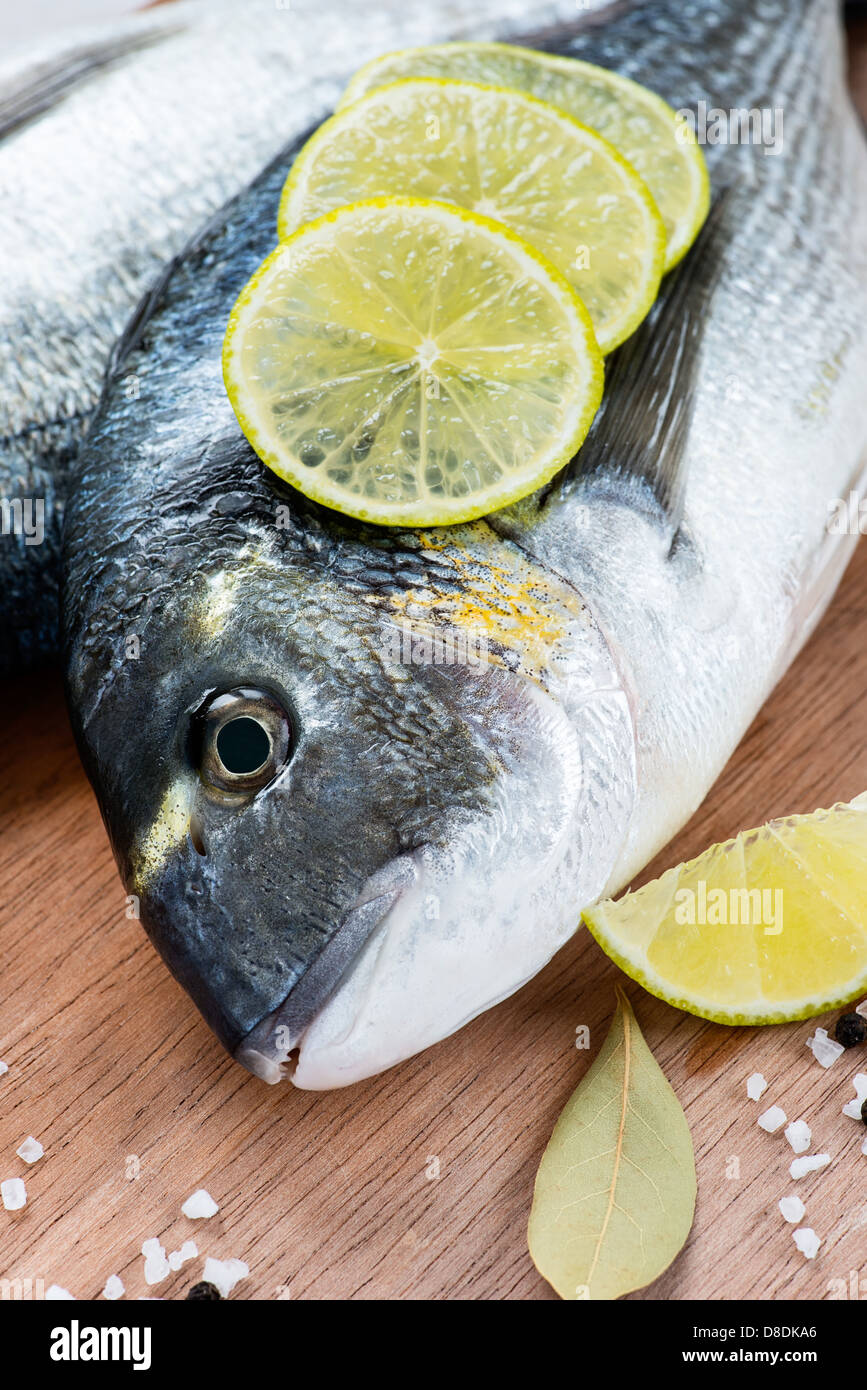 Dorada fish hi-res stock photography and images - Alamy