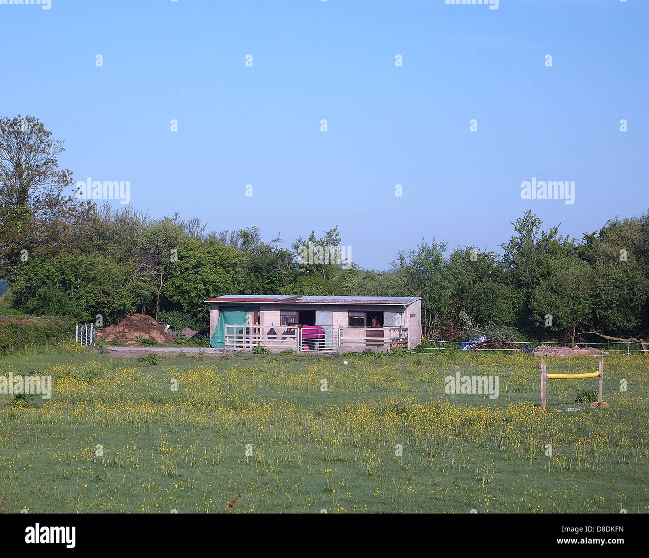 Country stables hi-res stock photography and images - Alamy