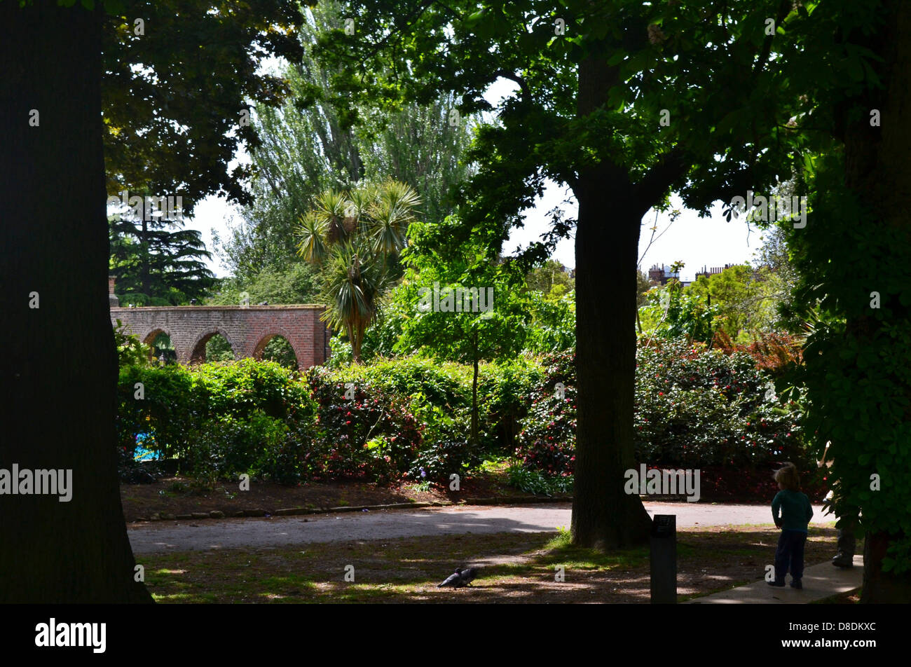 The Japanese garden in Holland Park, west London Stock Photo - Alamy