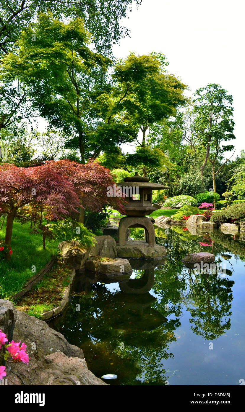 The Japanese garden in Holland Park, west London Stock Photo - Alamy