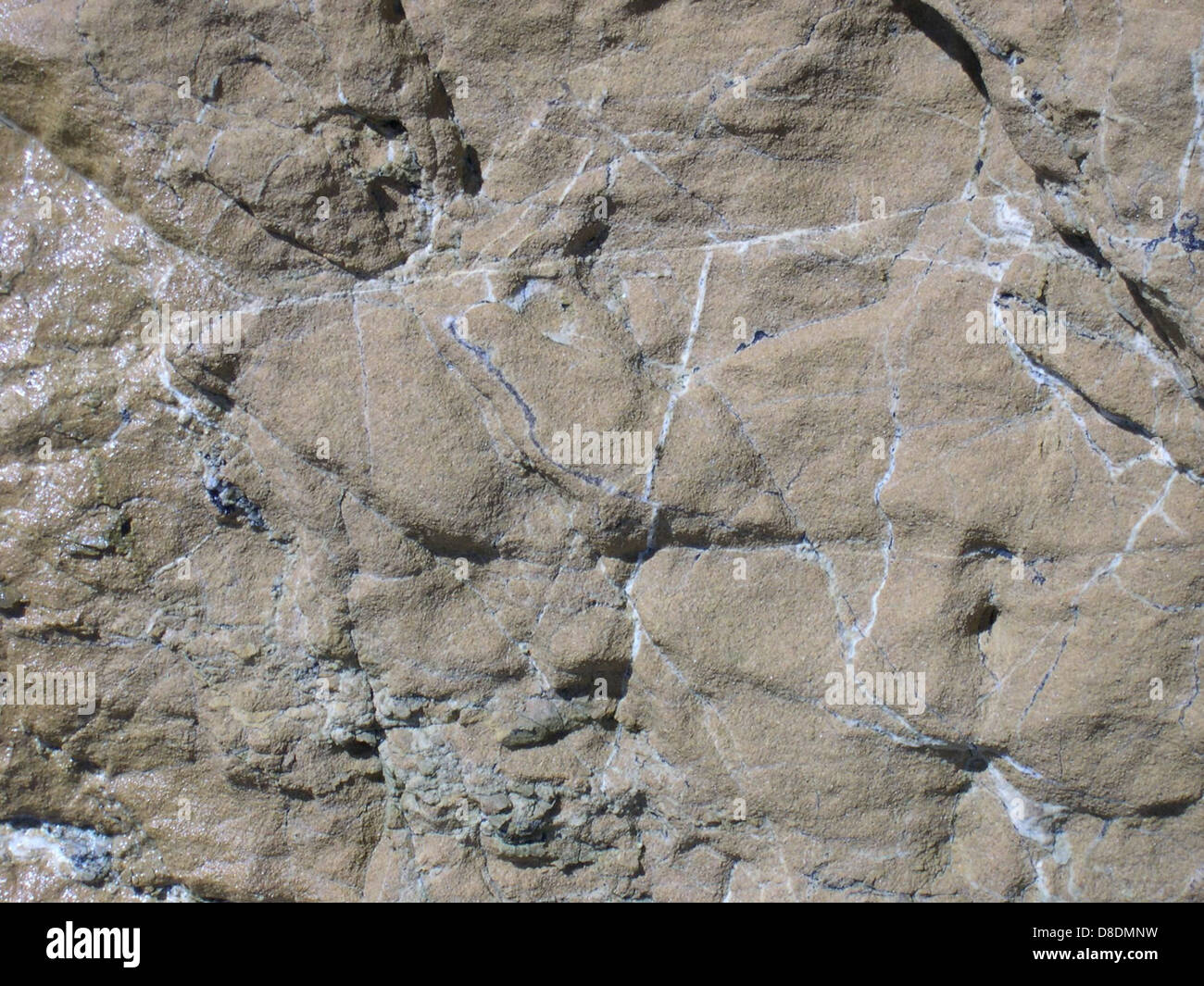 A stock photo showcasing intricate rock patterns formed over time. The ...