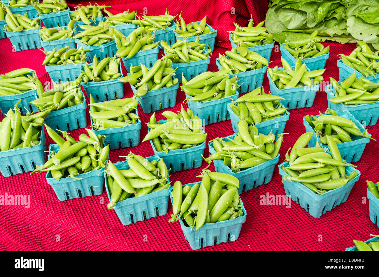 Boxes of freshly harvested peas on display at the farmers market Stock ...