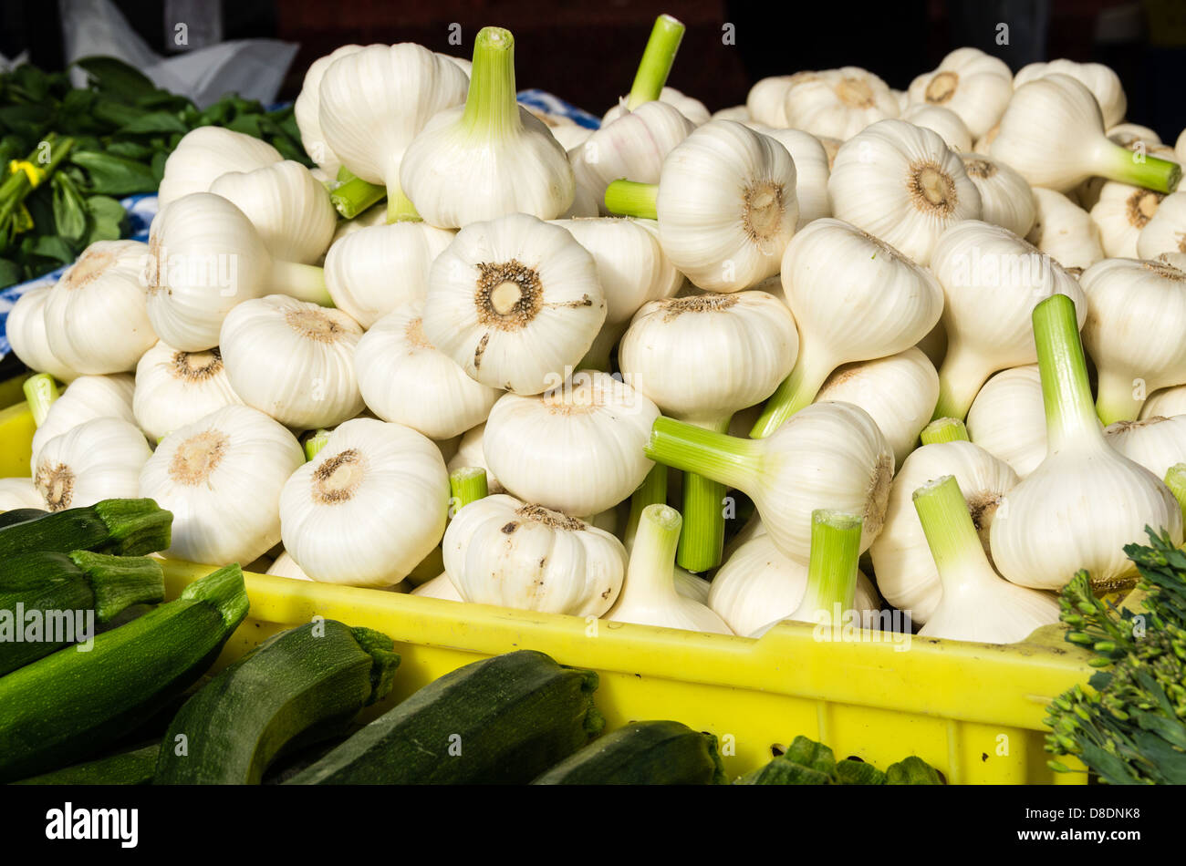 Freshly harvested garlic cloves on display at the farmers market Stock ...