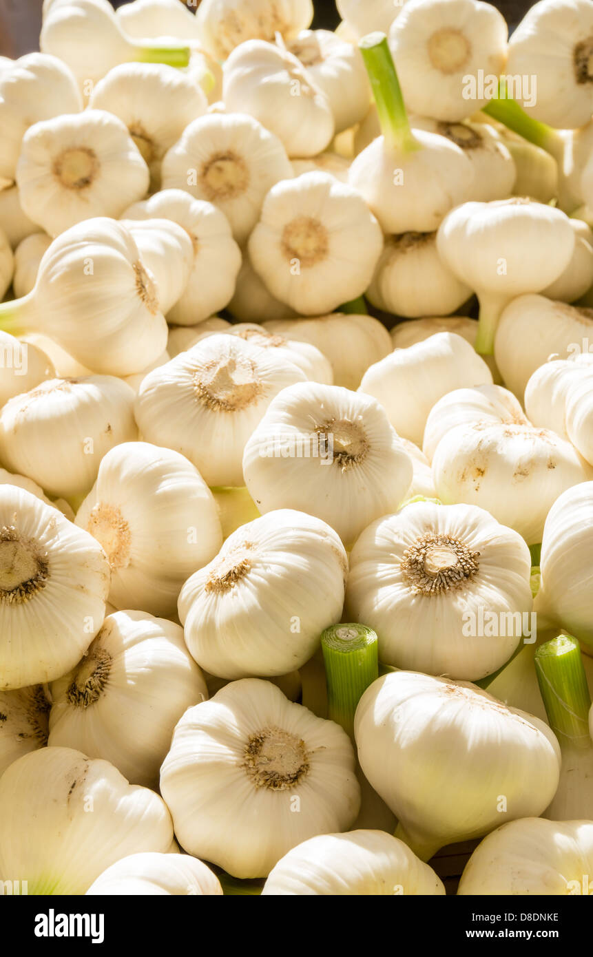 Freshly harvested garlic cloves on display at the farmers market Stock ...